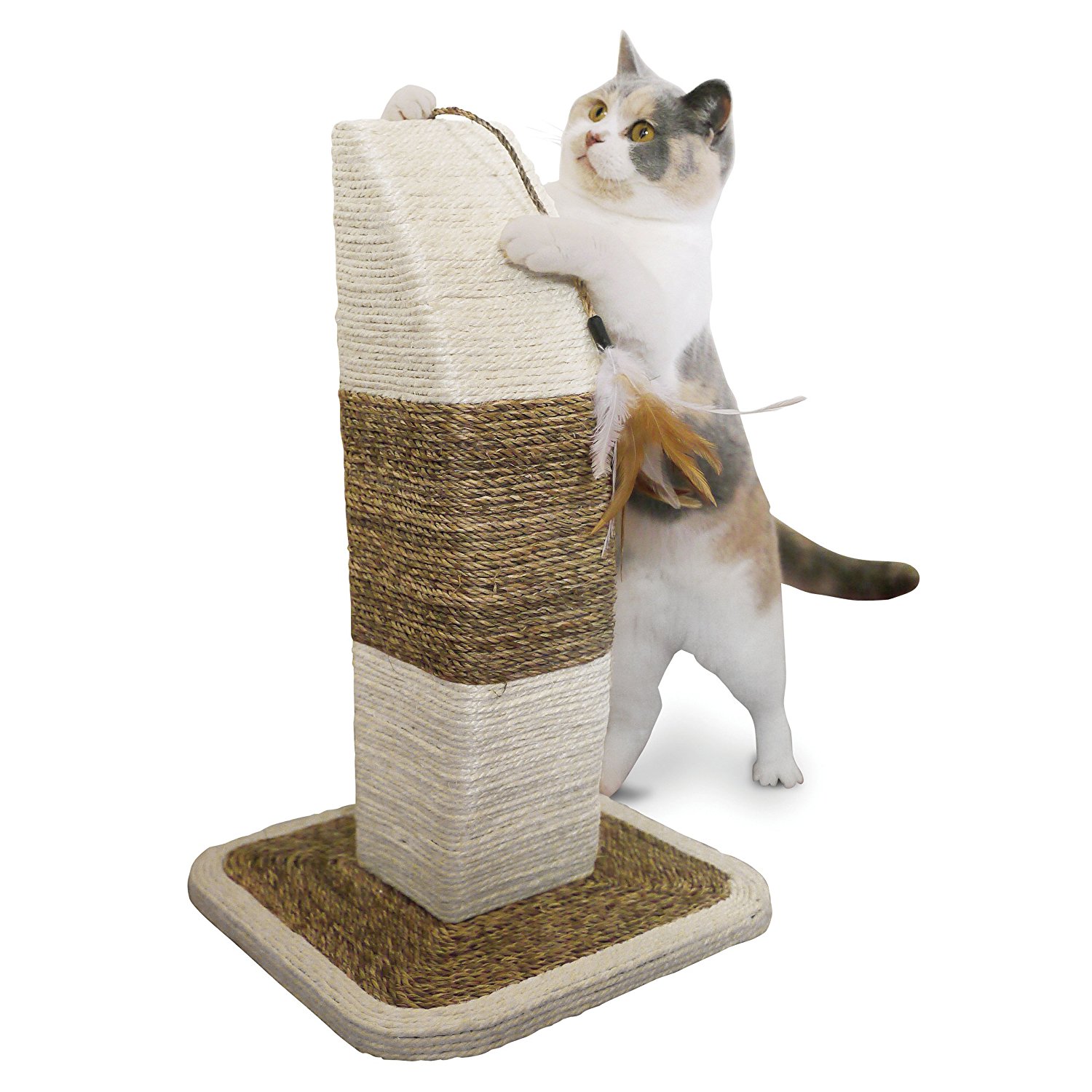 Griffoir chat : comment choisir le bon griffoir ? - Chat Maine Coon