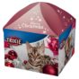10 idées de cadeaux de Noël pour votre chat - Chat Maine Coon