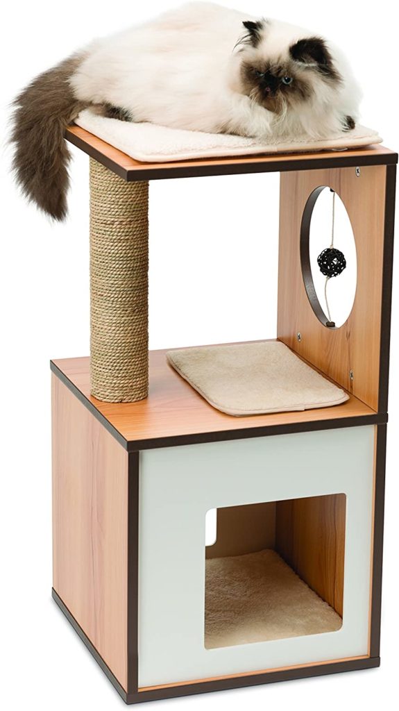 Arbre à chat en bois : Sélection Novembre 2020 - Chat Maine Coon