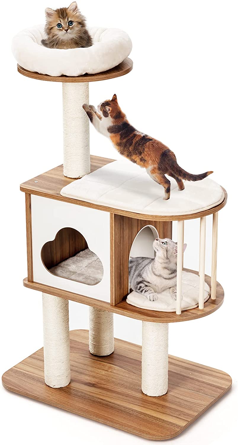 Choisir un arbre à chat pour un Maine Coon - Chat Maine Coon